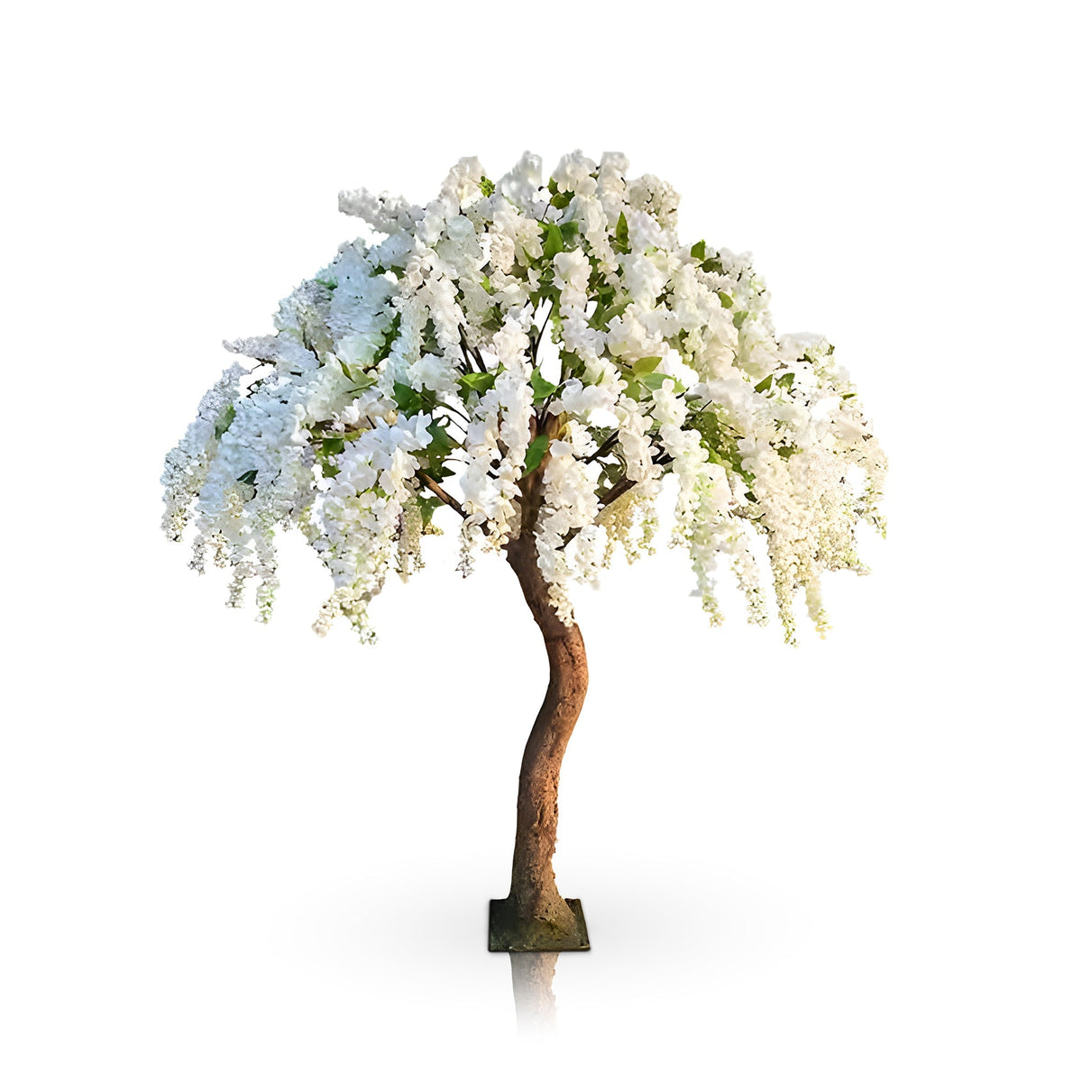Snow Cascade Wisteria – Wall Panels Orlando